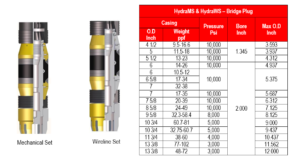 HydraMS and HydraWS Bridge Plugs - SAZ Oilfield Services